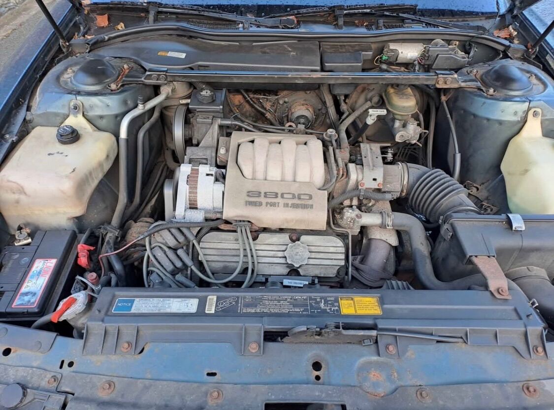 Grizz’s Folly - Collection Thread….. Premature €jacuwhatever?? ⏰ ...